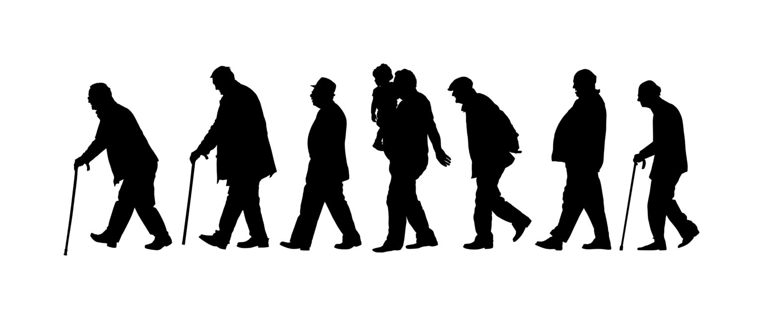 What are the most common causes of loss of independence in older adults ...