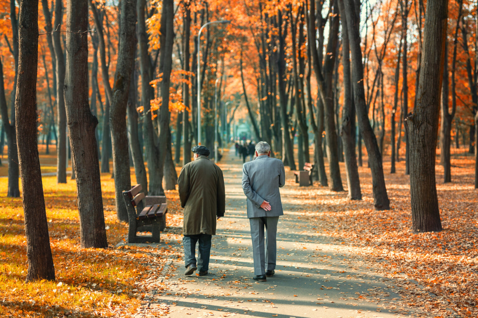 What is the “Dementia Walk”? – HelpDementia.com