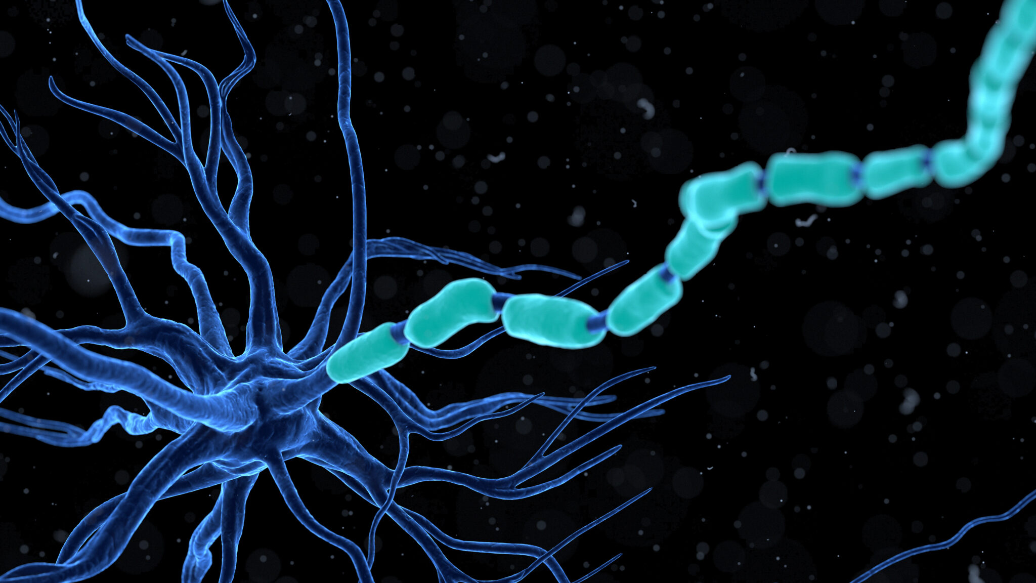 What are the signs and management of urinary incontinence in older ...