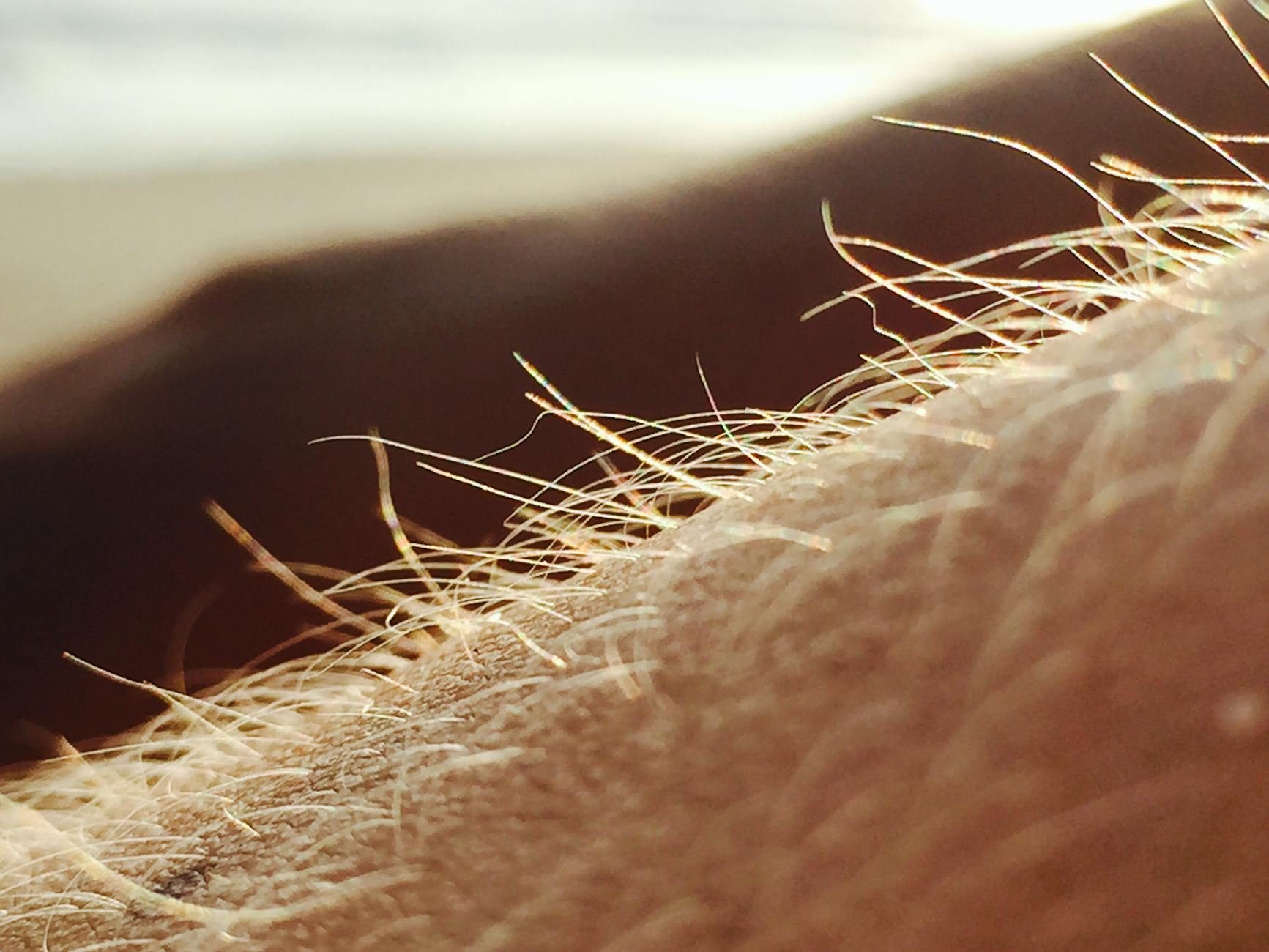 Hypoallergenic Explained What It Means For Skin - HelpDementia.com