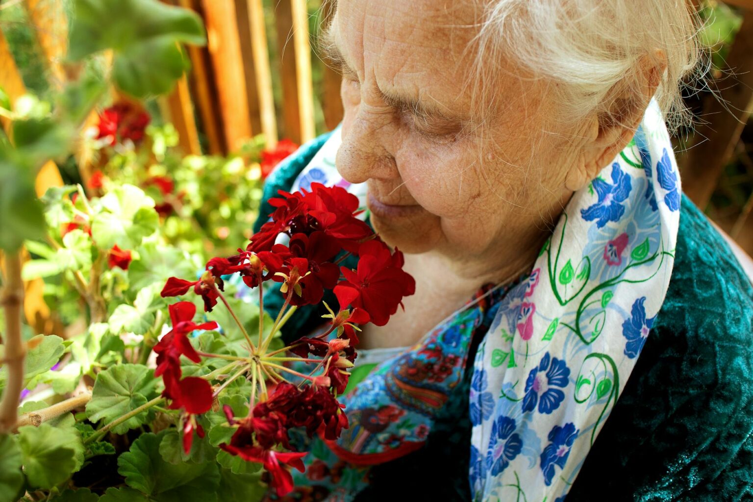 What is the elephant trick for memory loss? - HelpDementia.com